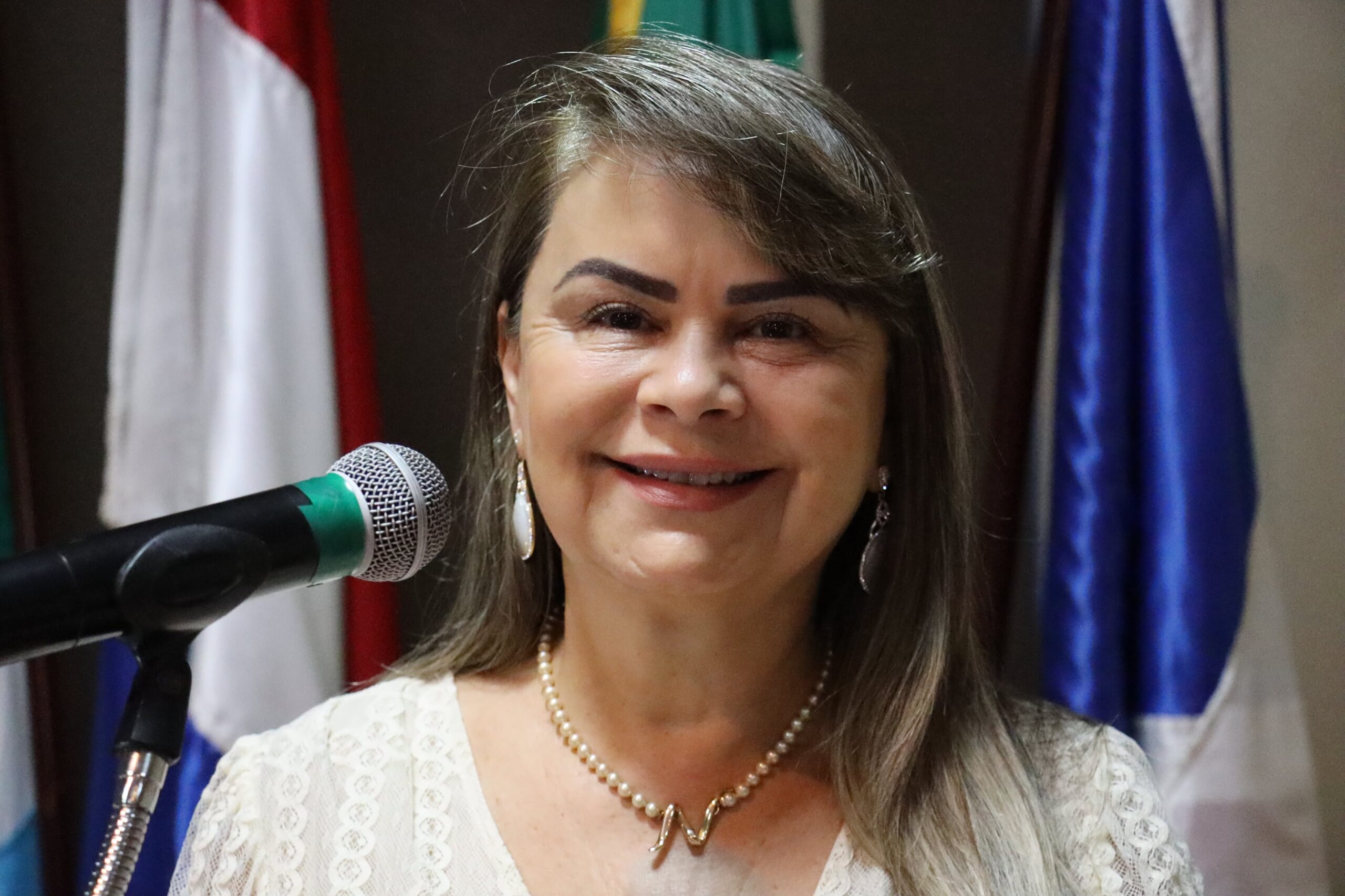 Neli Abdulahad quer manutenção em bocas de lobo no Ibirapuera e pista ...